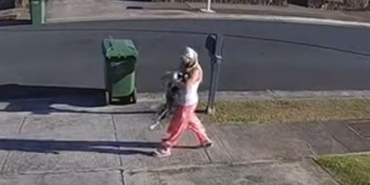 Police locate suspect wanted in animal cruelty case caught on camera Police locate suspect wanted in animal cruelty case caught on camera