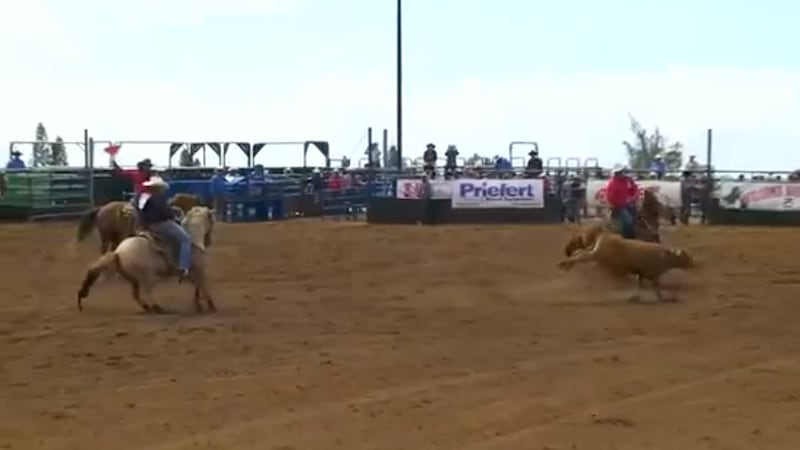 Upcountry Maui celebrates return of Makawao Stampede Rodeo Upcountry Maui celebrates return of Makawao Stampede Rodeo