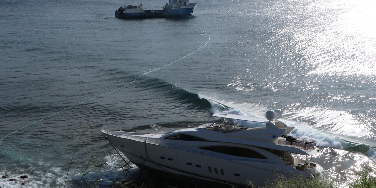 Suit alleges ‘gross negligence’ in Maui yacht grounding that damaged reef Suit alleges ‘gross negligence’ in Maui yacht grounding that damaged reef